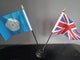 Dash flags